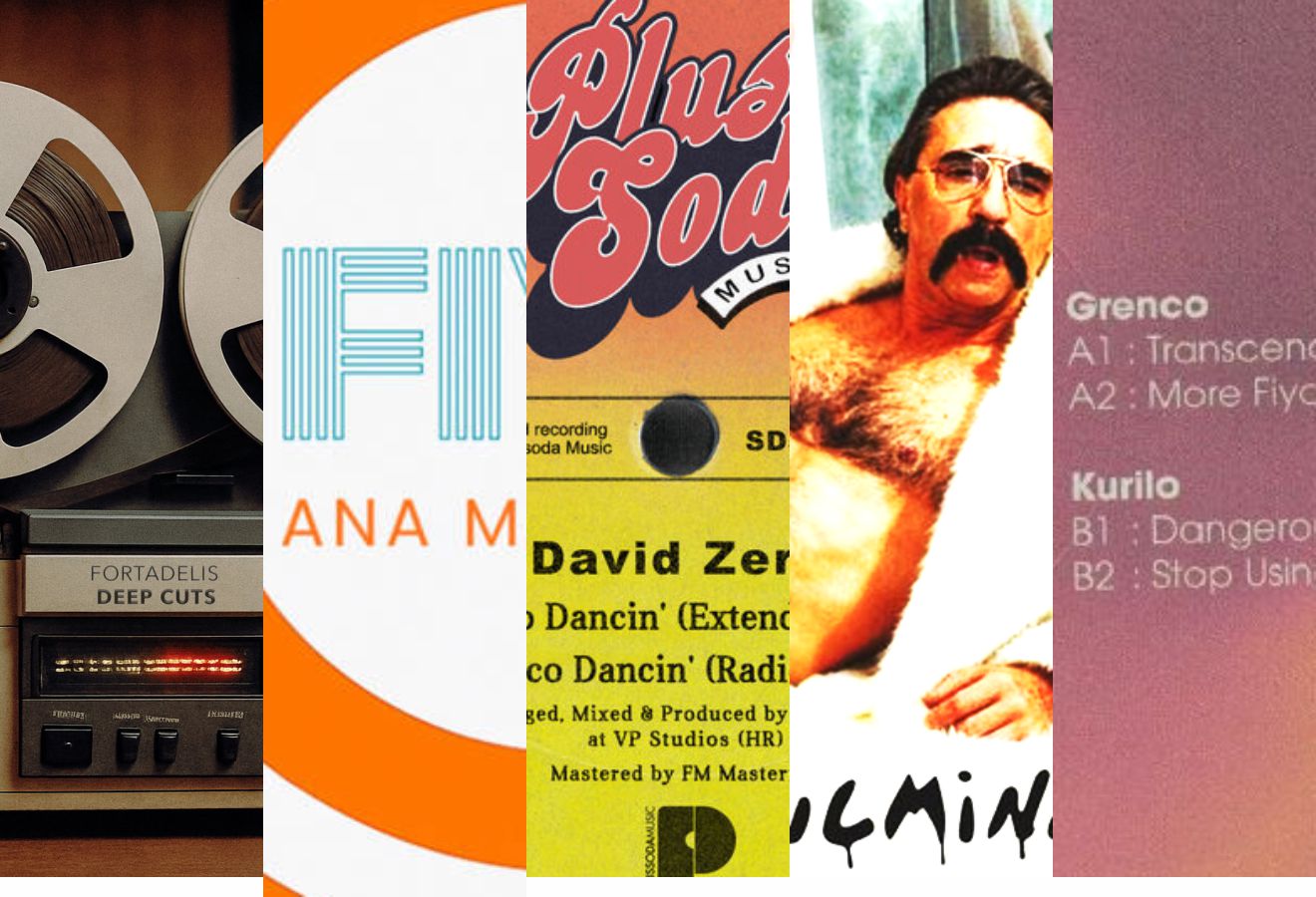 Nova izdanja: Ana Marija Šir, David Zero, DJ Demian, Fortadelis, Grenco - Glazba.hr